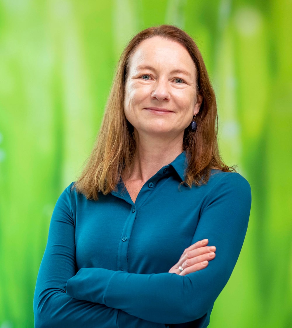 Titia Sietsma - Venster